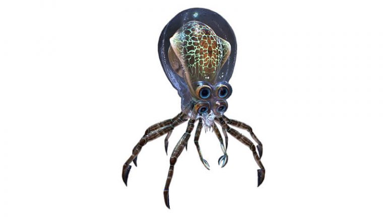 Subnautica: Aggressive Creatures and How to Deal - Guide | GamesCrack.org